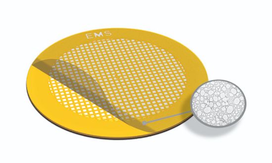 Holey Carbon Film