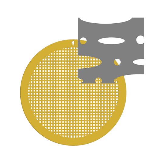 C-Flat™ Holey Carbon Grid Gold Multi-Hole 400 Mesh