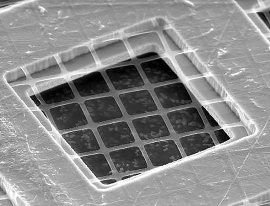 S 35/5 Holey Carbon Films on Grids
