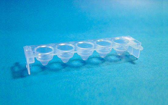 EM5-8C-C/PE 5 Block Embedding Mold-2mm Cylindrical Cone Cap