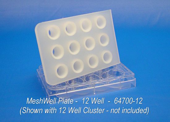 Meshwell Plate, 12 Well