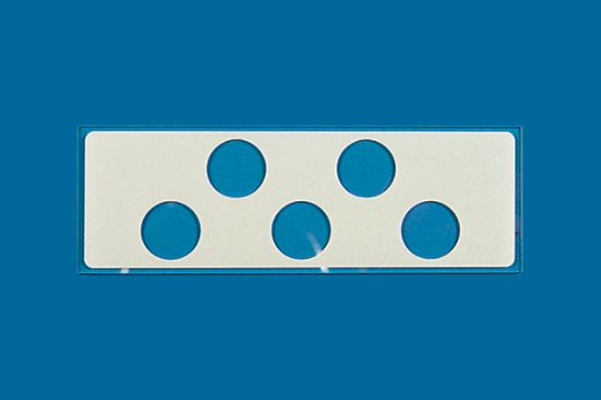 PTFE Printed Slide, 5 Well, 10mm