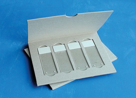 Slide Mailer, Cardboard