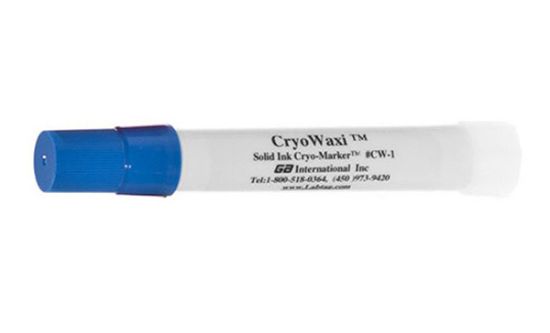 Big-Tip Cryo Marker, Blue