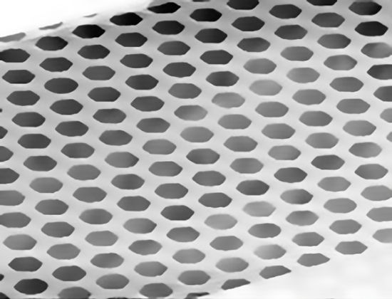 Hex 15 Holey Carbon Films on Grids