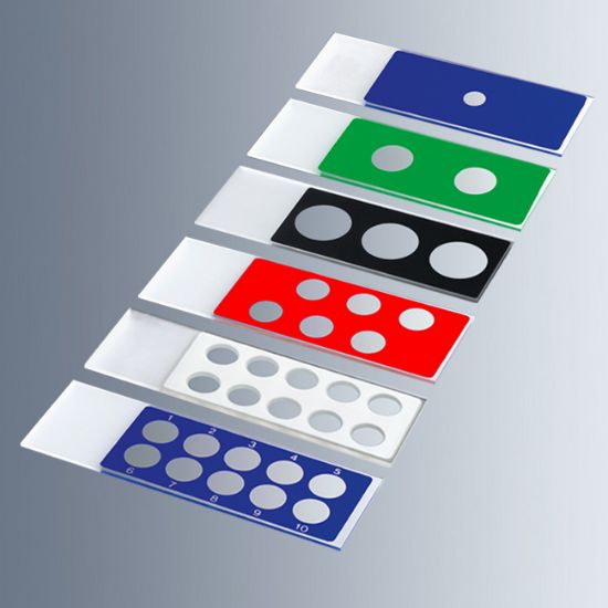 10 x 5 mm diameter circles