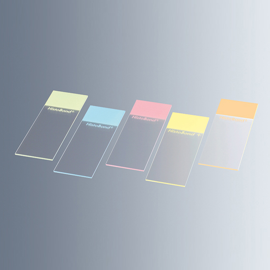 HistoBond®+S Adhesive Microscope Slides With Cut Edges