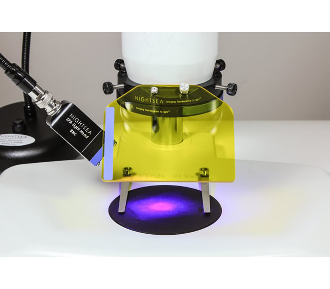 Learn more about NIGHTSEA Fluorescence Viewing Systems